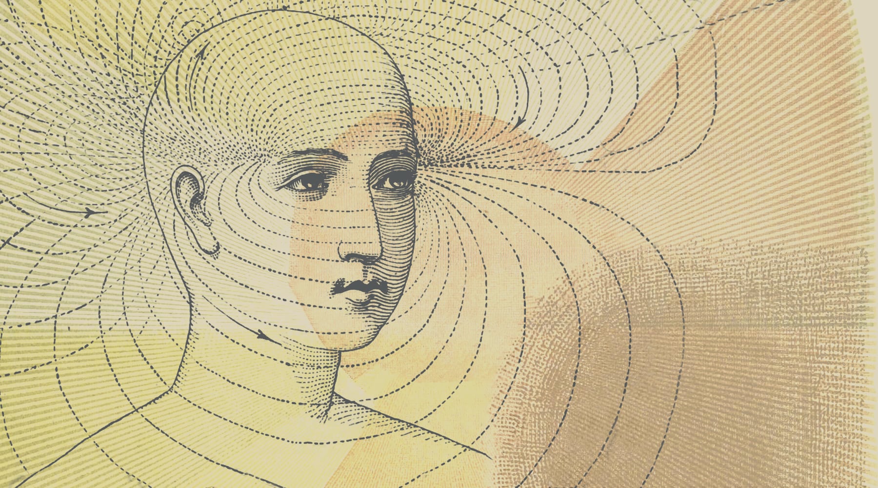 NeuroColor: Engage & differentiate brands through personality. | Neuropulse